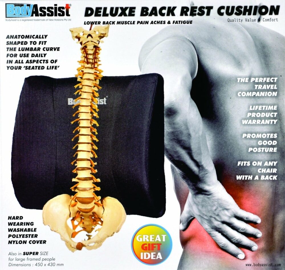 Deluxe Back Rest Cushion - Regular • Able Medilink